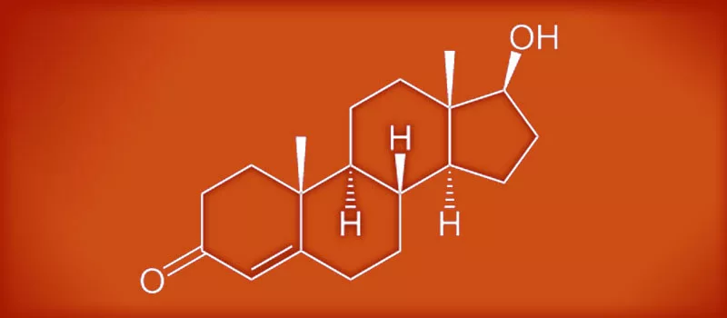 What is a Steroid Cycle: A Comprehensive Guide – Cleanfarma