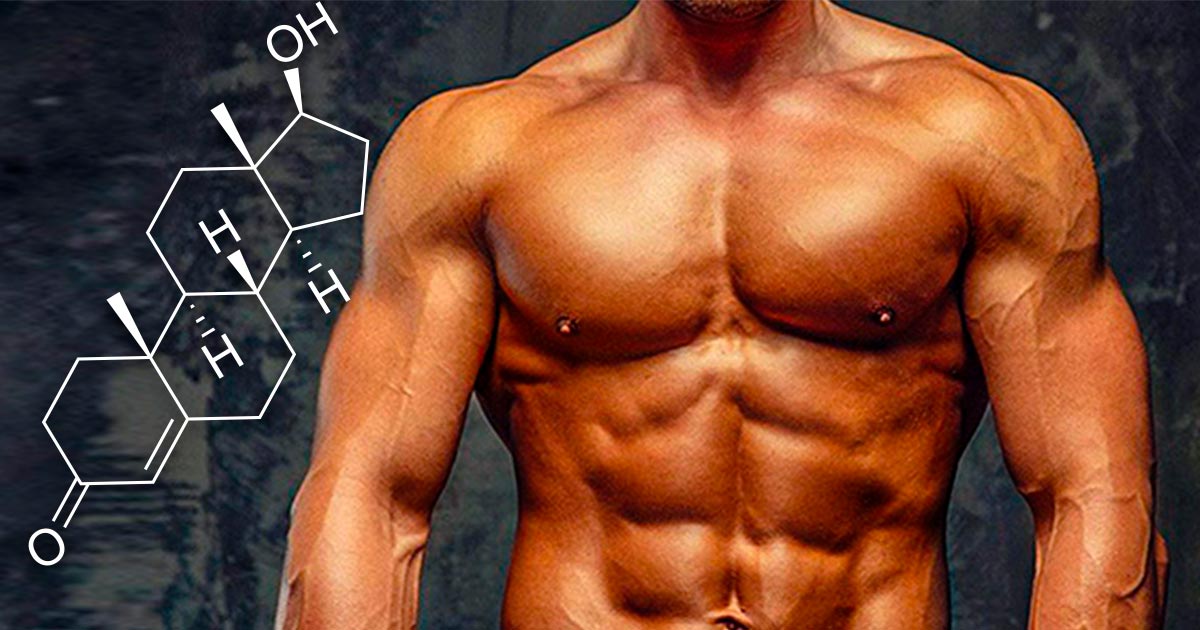 The Definitive List of Steroids for Bodybuilding – Cleanfarma